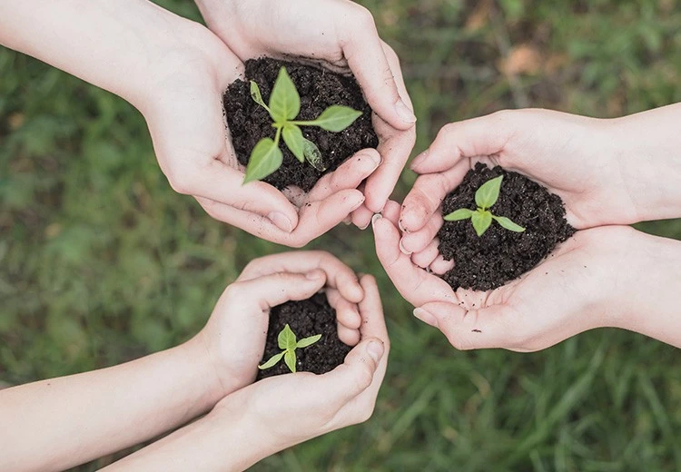 Toyota Corporate Social Responsibility - Toyota Motor Thailand Co., Ltd.